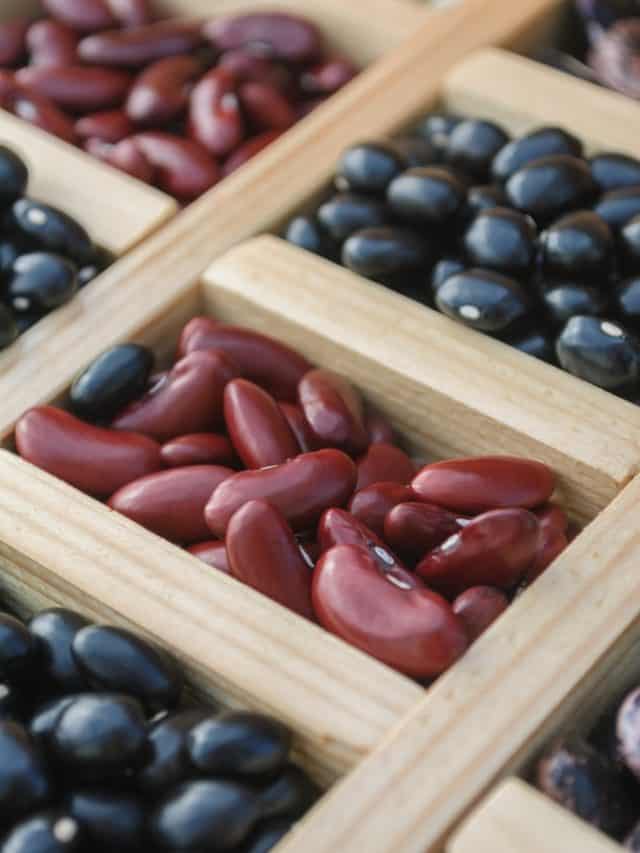 5 Seeds You Should Avoid And Why - Tata 1mg Capsules