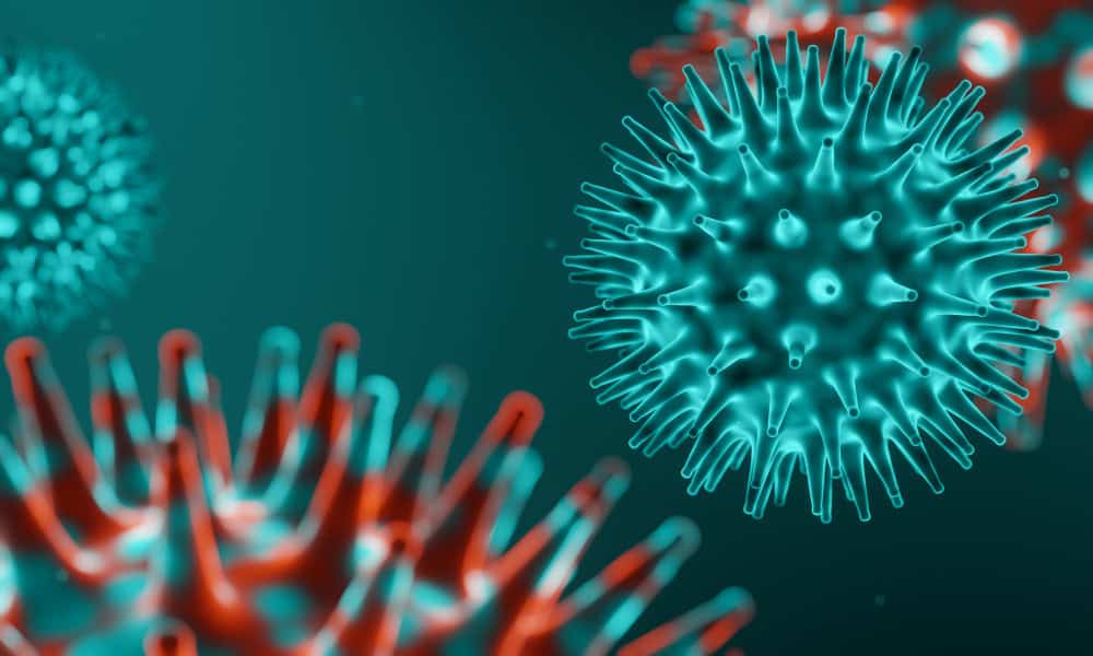 Nipah Virus Explained: What’s Happening in India Today! (And What To Do ...